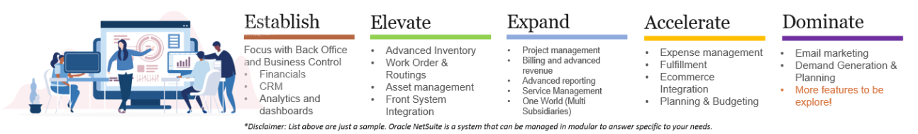 Oracle Netsuite Landing Page - Intalogi